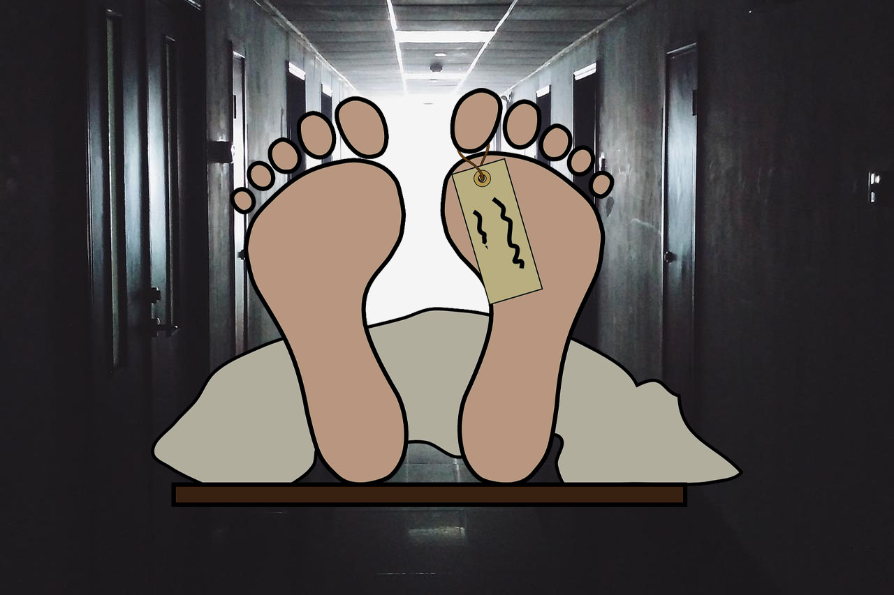 How to Avoid an Autopsy - Pushing Up Lillies